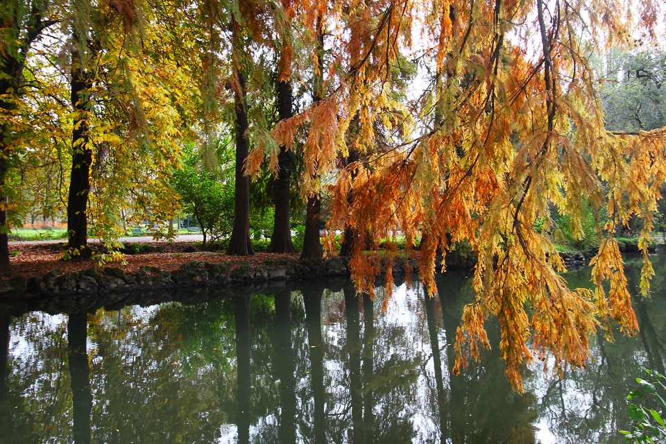 A Parco Lambro: tra storia, natura e musica – On the road